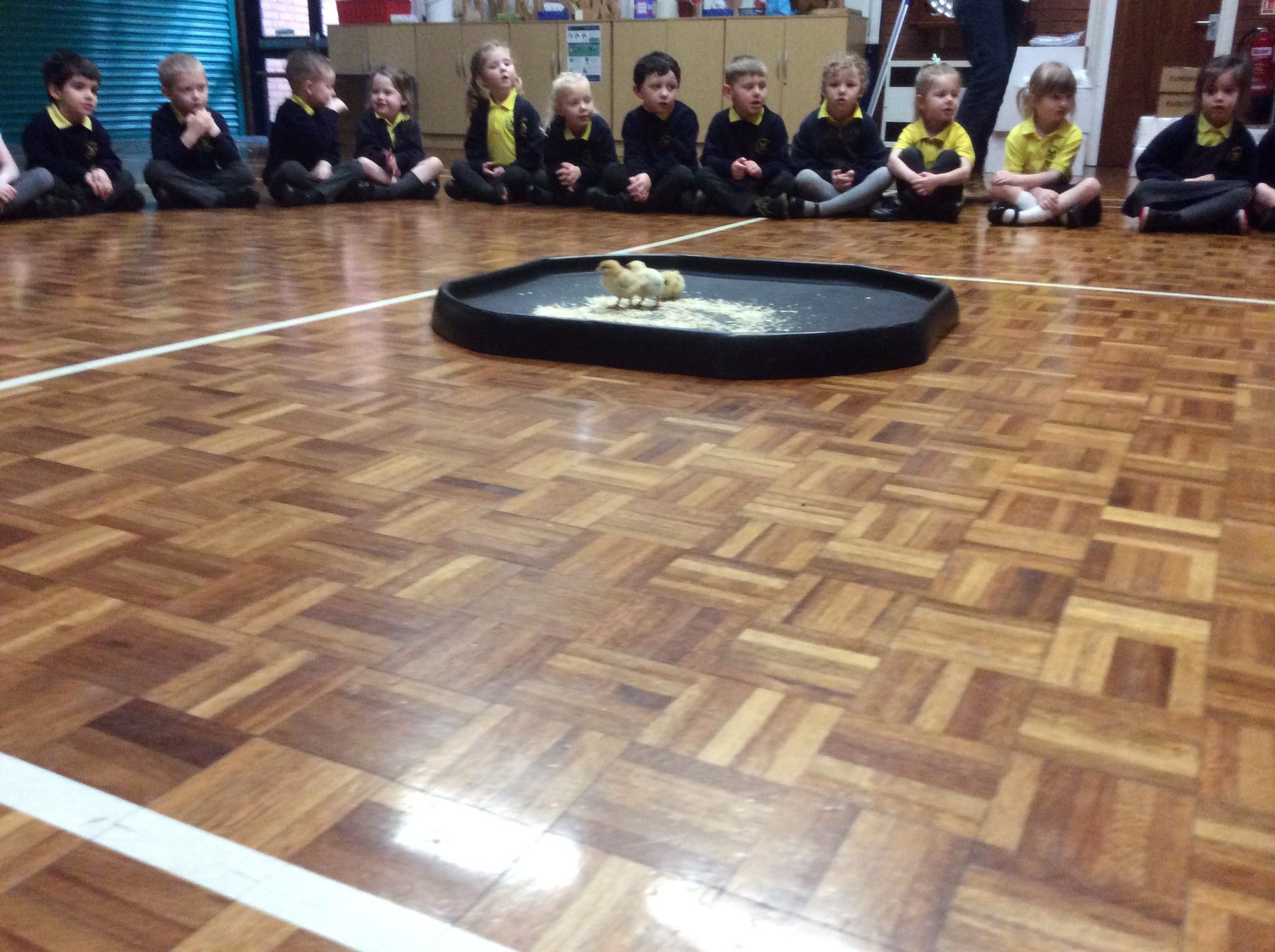 IMG_7596 – St Peter's Stalybridge